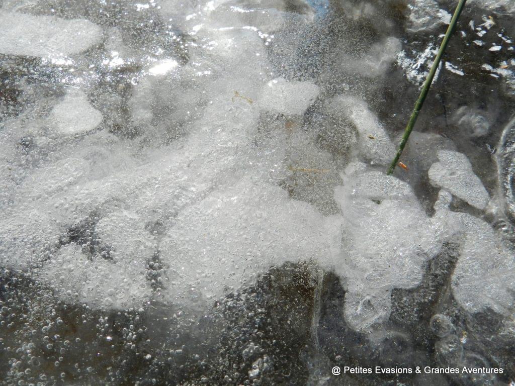 Instant(ané)s glacés - Balade photographique hivernale