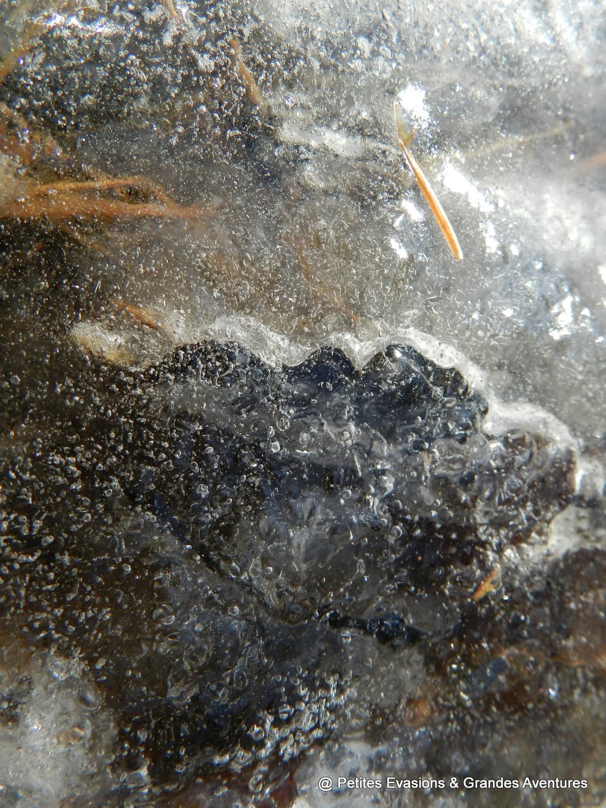 Instant(ané)s glacés - Balade photographique hivernale