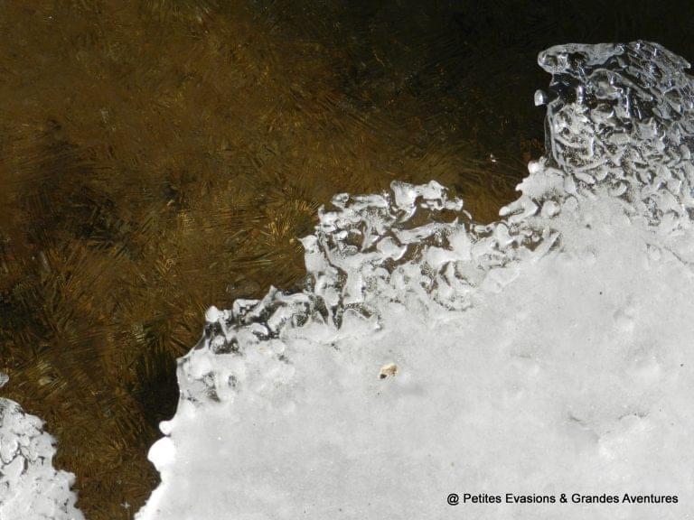 Instant(ané)s glacés - Balade photographique hivernale