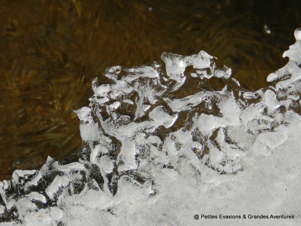 Instant(ané)s glacés - Balade photographique hivernale