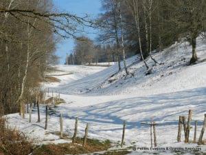 Instant(ané)s glacés - Balade photographique hivernale