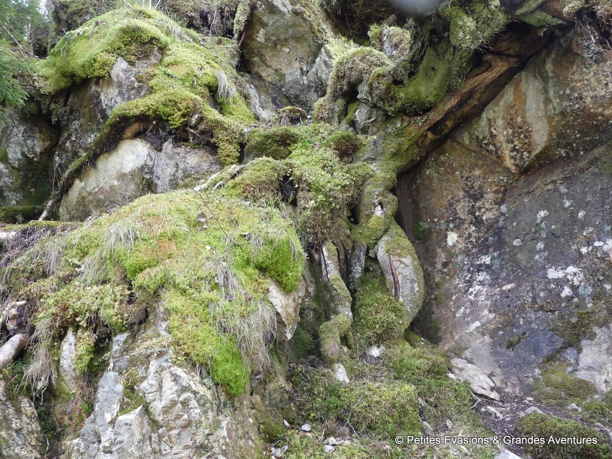 Road trip en Norvège : Fantoft et Milde, escapades autour de Bergen