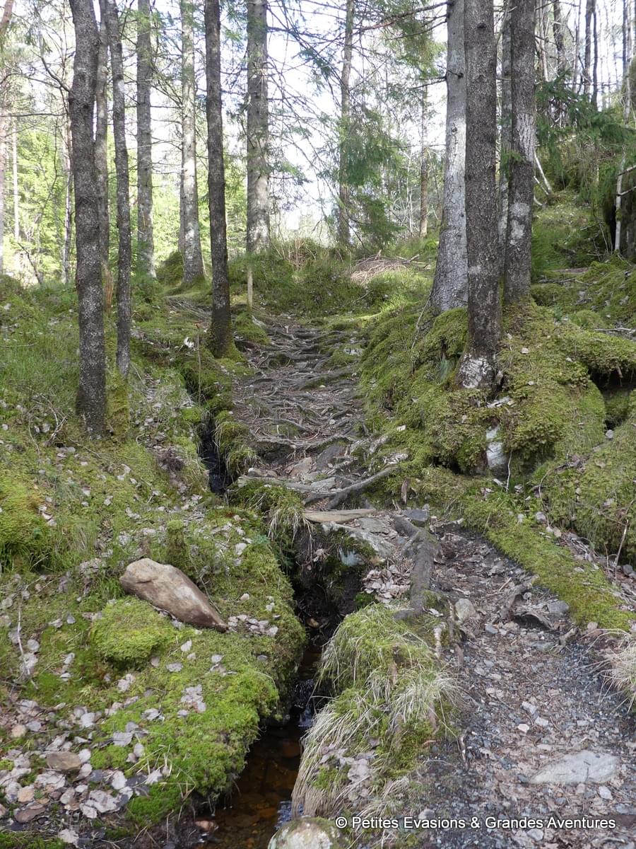 Road trip en Norvège : Fantoft et Milde, escapades autour de Bergen